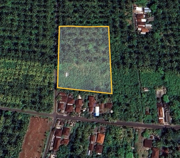 Land For Sale – Strategic Location Near The LOST Hotel Pekutatan ...